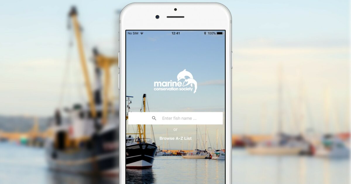 Good Fish Guide Multiplatform Application | Brightec